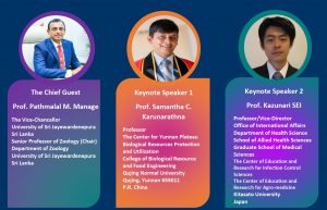 OURS – Open University Research Sessions